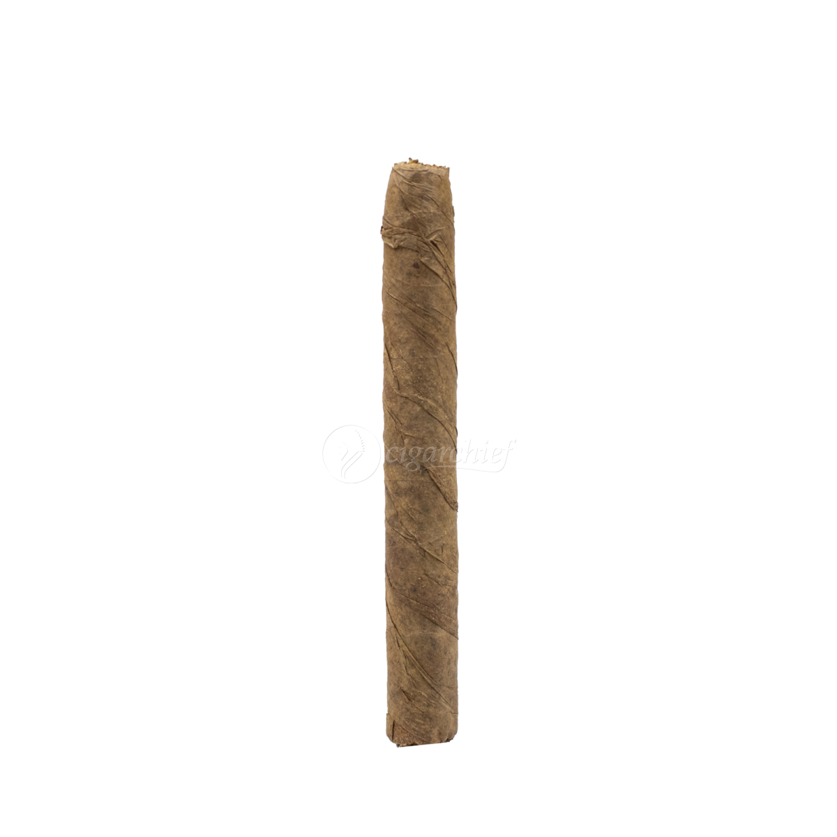 Principes Corona Caribbean - Cigar Chief