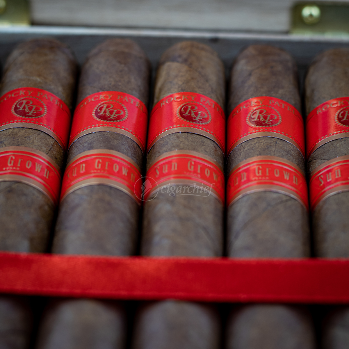 Skoal Classic Straight Pouches - Cigar Chief