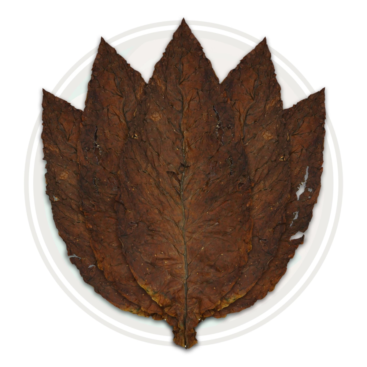 Fronto Leaf, 5 Grabba Leaf Package - Cigar Chief