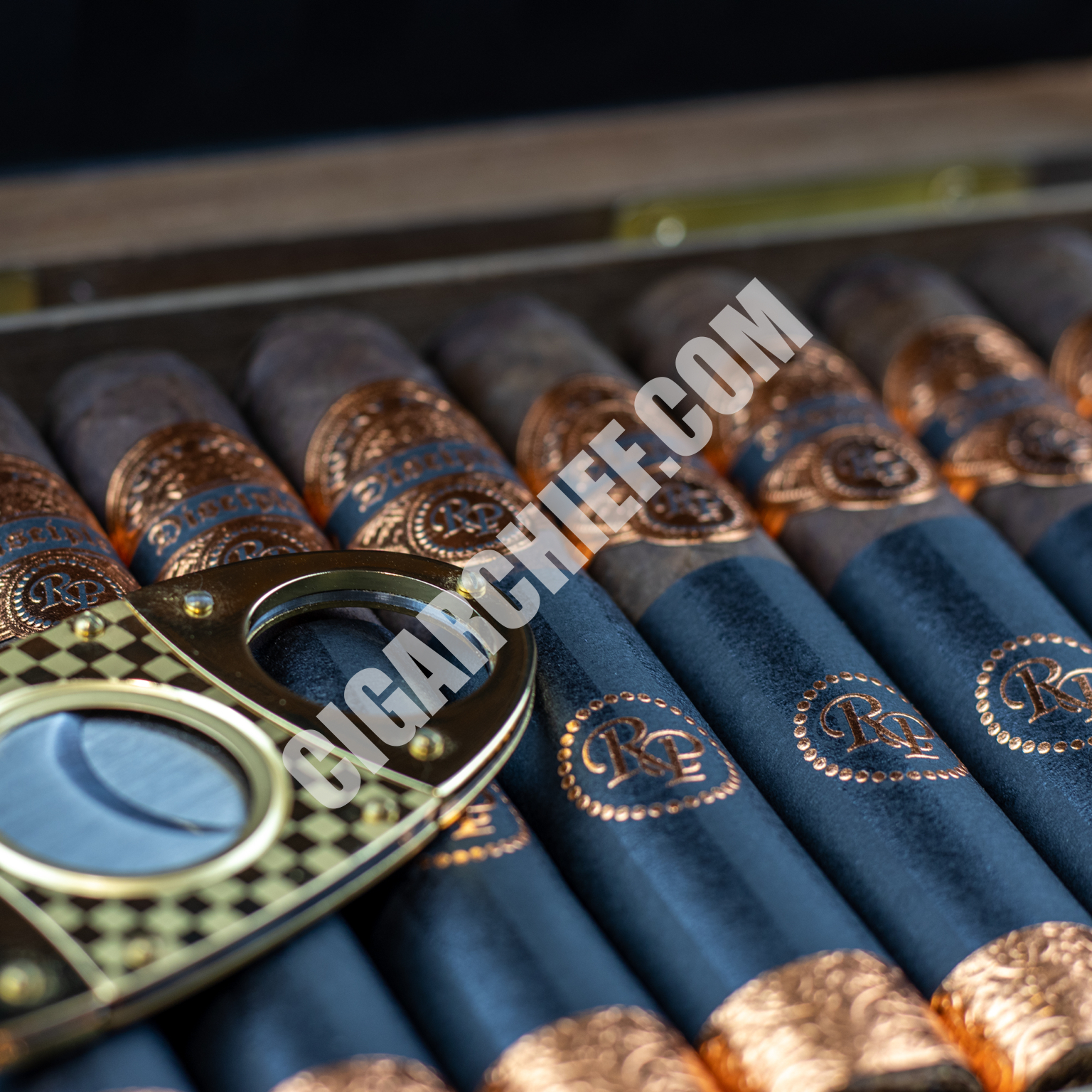 Rocky Patel Disciple Robusto - Cigar Chief