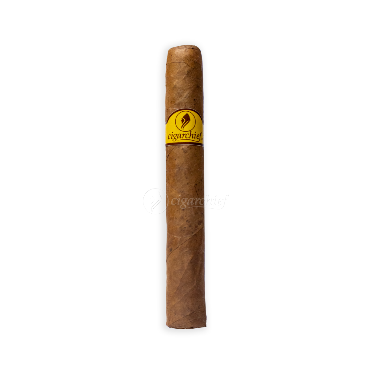 Cigar Chief Classic Connecticut Robusto by Claudio Sgroi - Cigar Chief
