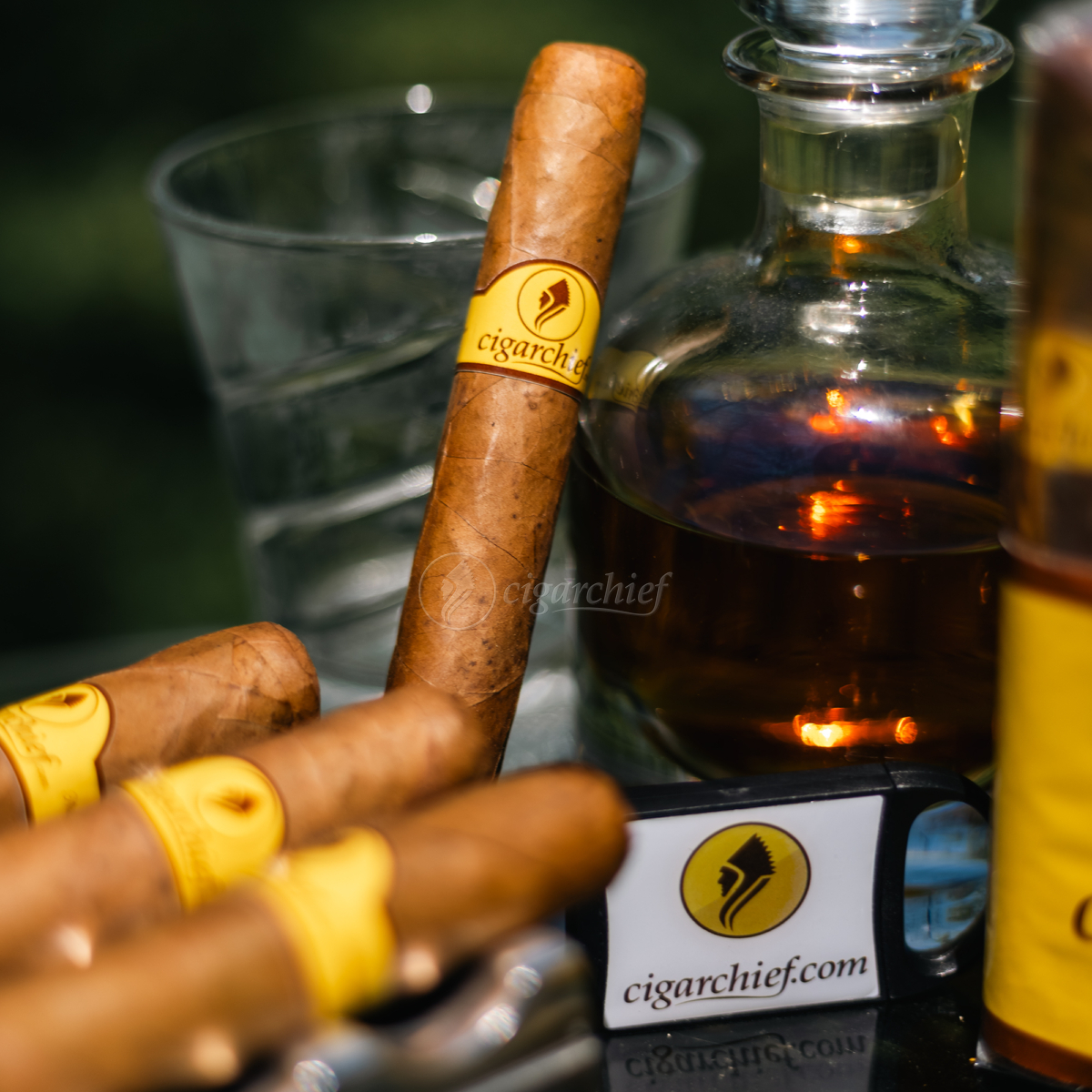 Cigar Chief Classic Habano Robusto by Claudio Sgroi - Cigar Chief